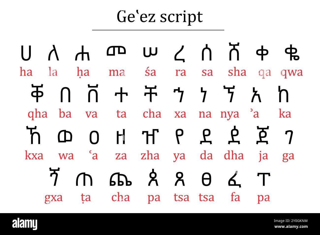 Ethiopian alphabet chart featuring characters with Romanized transliteration Stock Vector Image ...