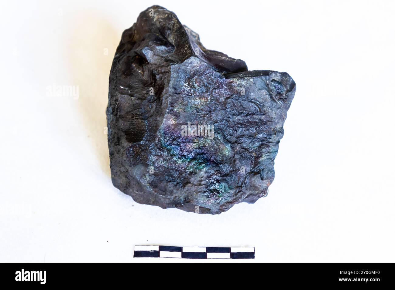 A specimen of massive, tarnished bornite, with a 5cm scale Stock Photo ...