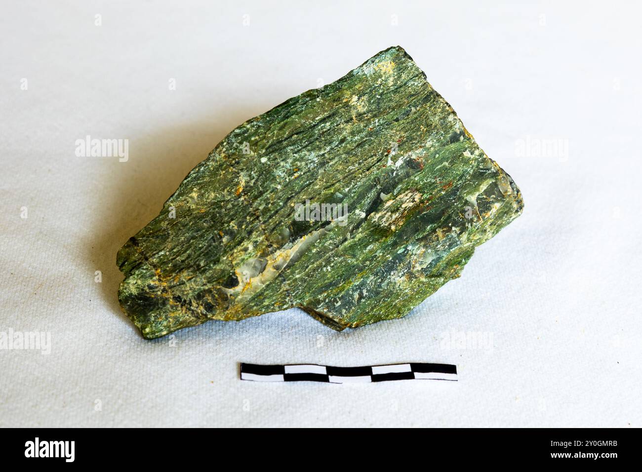 A sample of Fuchsite, with thin bands of chert, on a white background ...