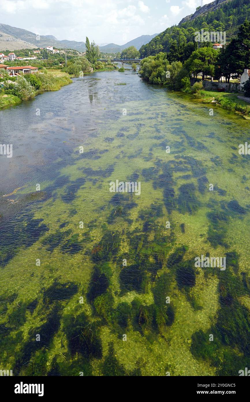 View from the Arslanagic bridge: clear waters of the Trebišnjica river ...