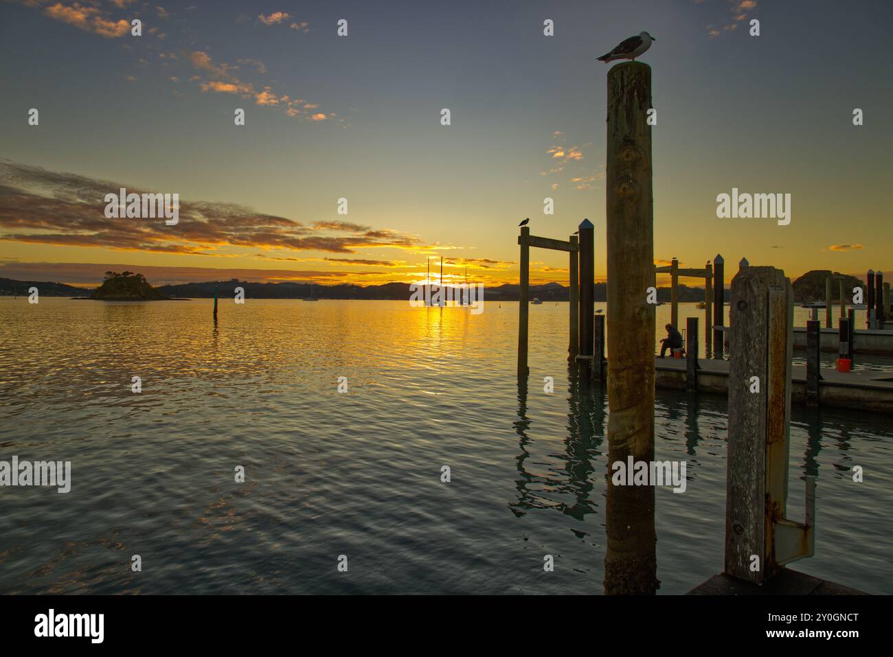Paihia bay of islands new zealand hi-res stock photography and images ...