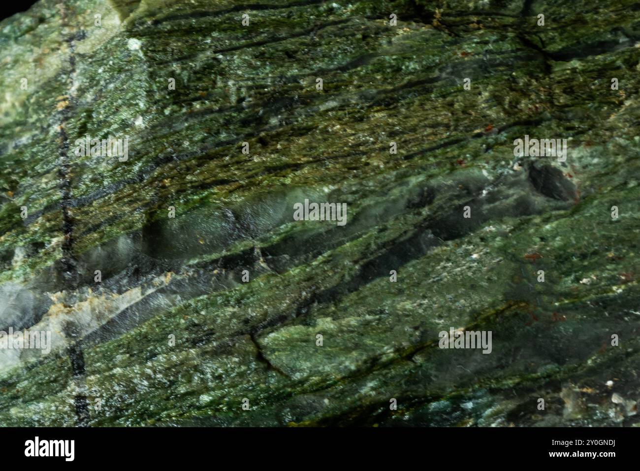 Chert variety hi-res stock photography and images - Alamy