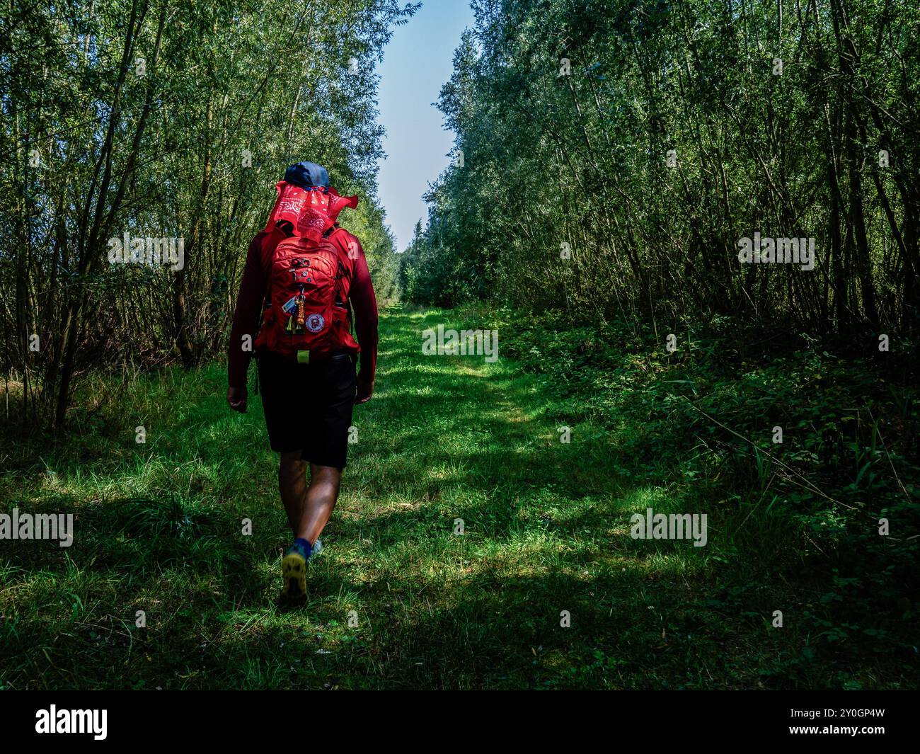 Ressen, Netherlands. 31st Aug, 2024. A man is seen walking on a trail ...