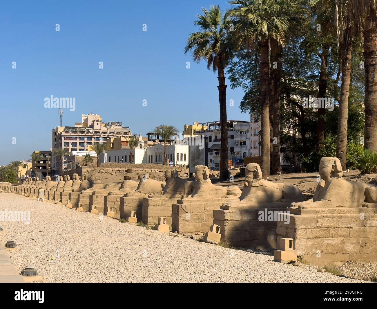 Luxor, Egypt; January 16, 2024: The ancient avenue of the Sphinxes in ...