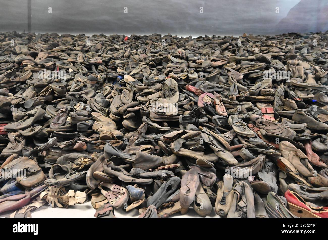 Auschwitz concentration camp Stock Photo - Alamy