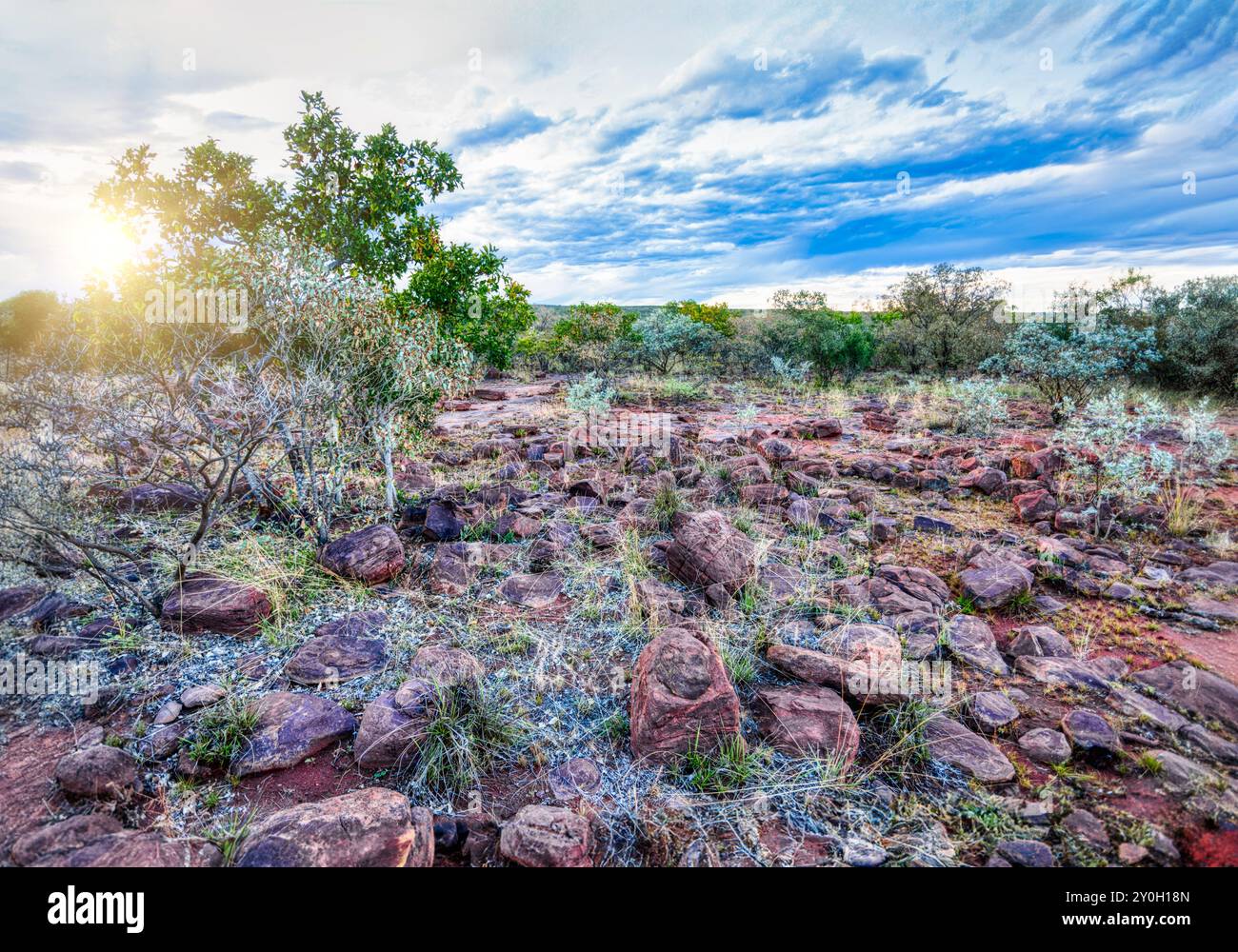 typical southern african landscape , granite rocks in the dry african ...