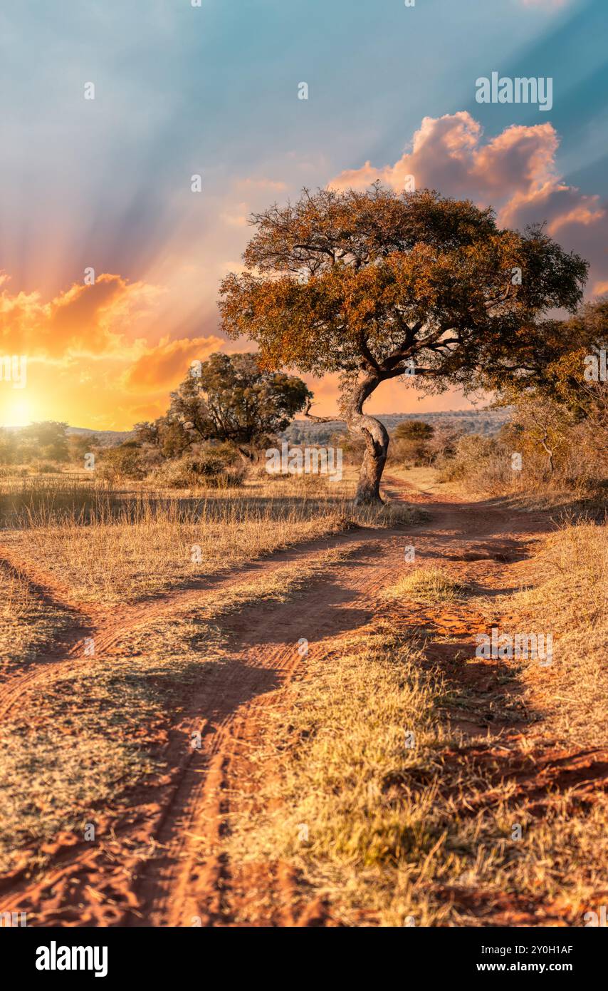 African village roads hi-res stock photography and images - Alamy