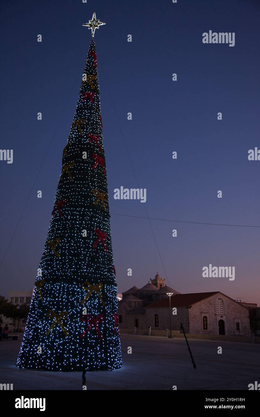 Paphos christmas tree hi-res stock photography and images - Alamy
