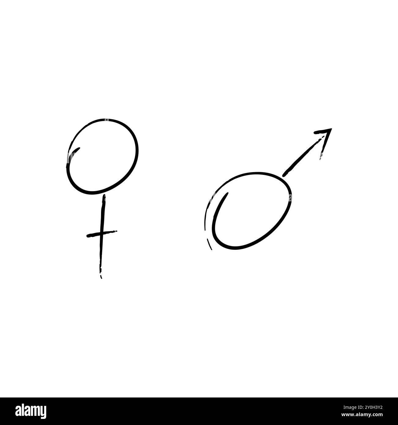 Gender Symbols Sketch On White Background Stock Vector Image And Art Alamy 