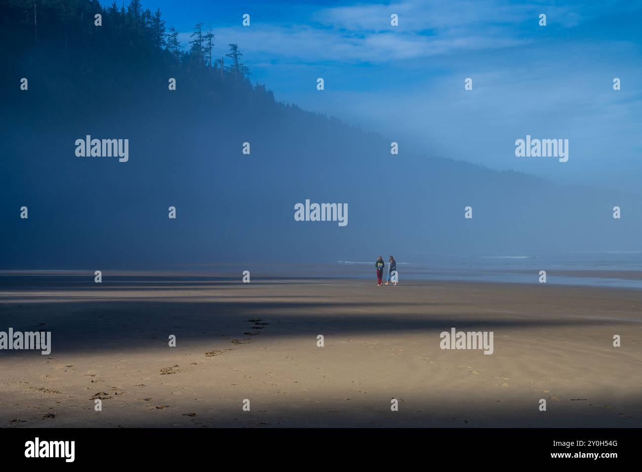 Pasific Coast visitors walking at the beach in early morning mist at ...