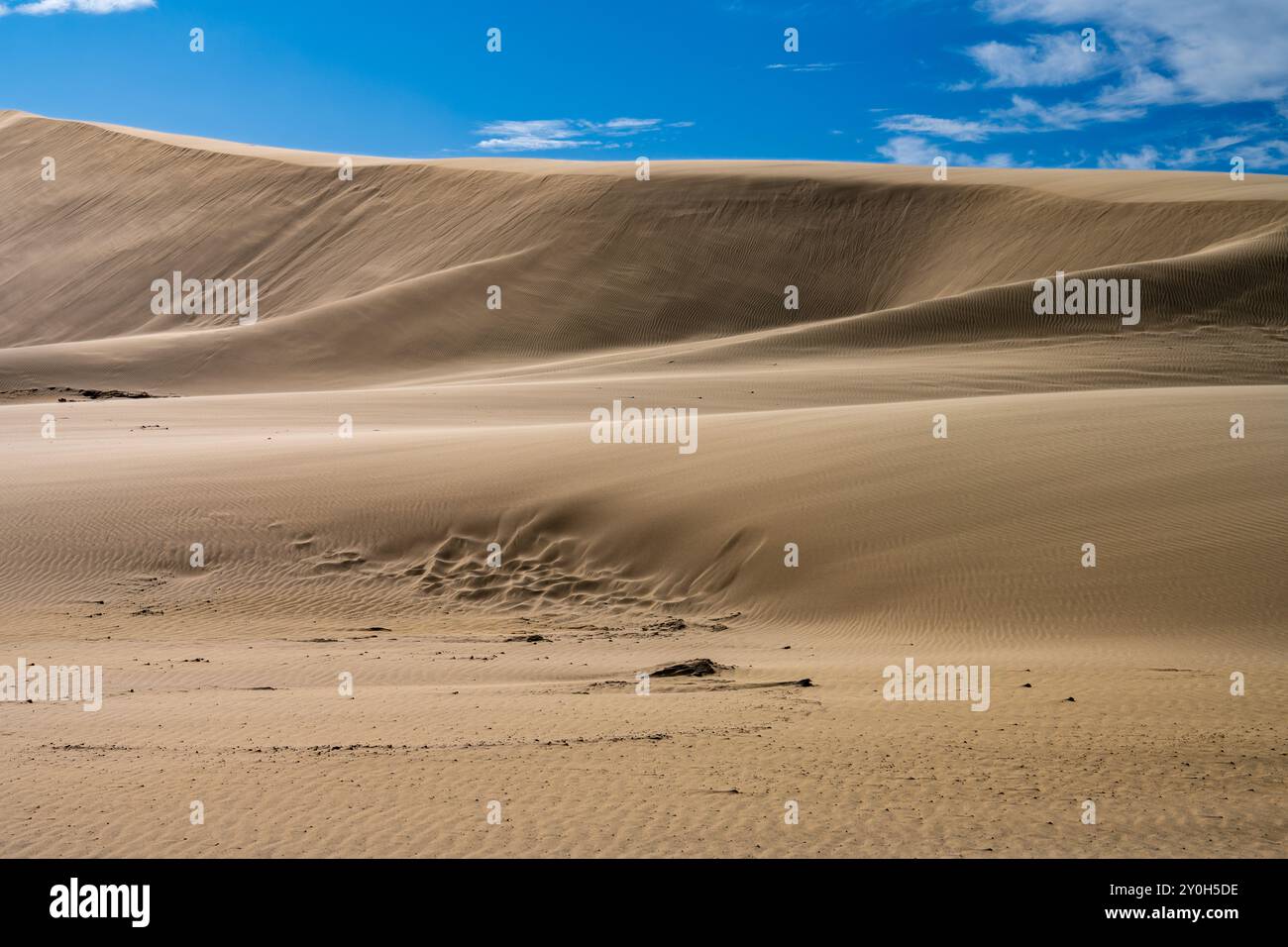 Sand dune at Cape Kiwanda State Natural Area, Oregon, USA Stock Photo ...