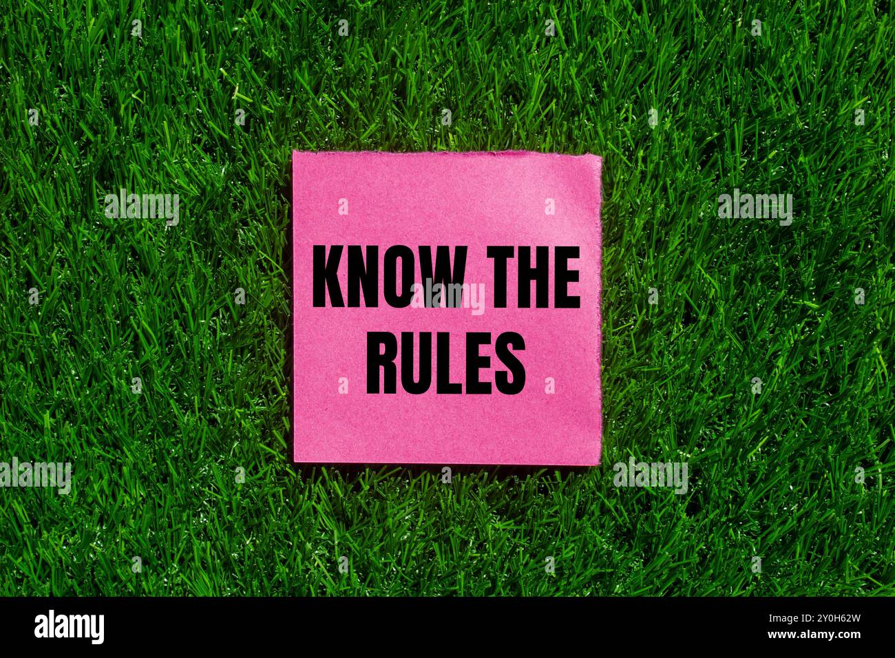 Know the rules message written on ripped torn pink paper with green ...