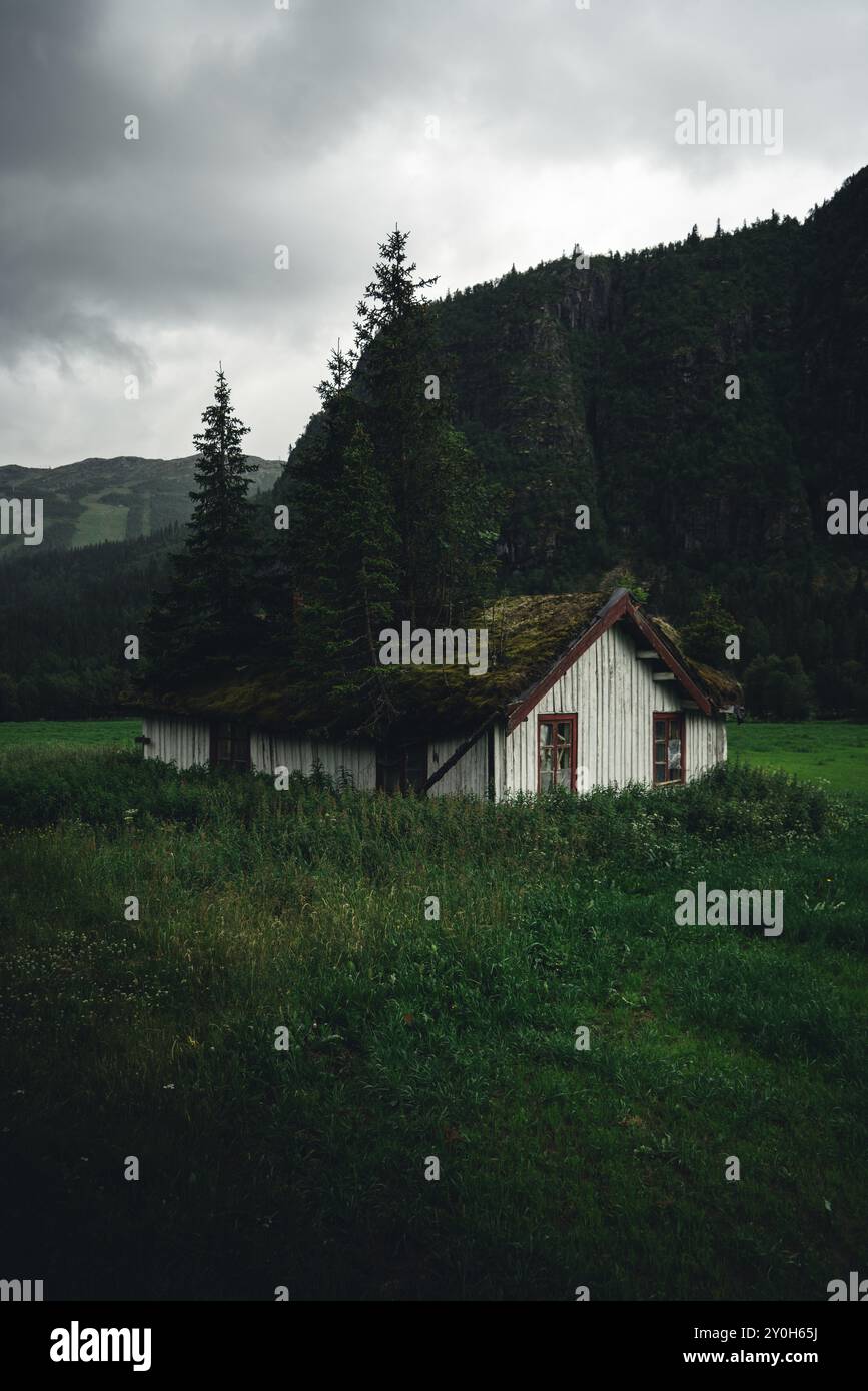 Old Cottage in Hemsedal, Norway, with tall trees growing on the roof ...