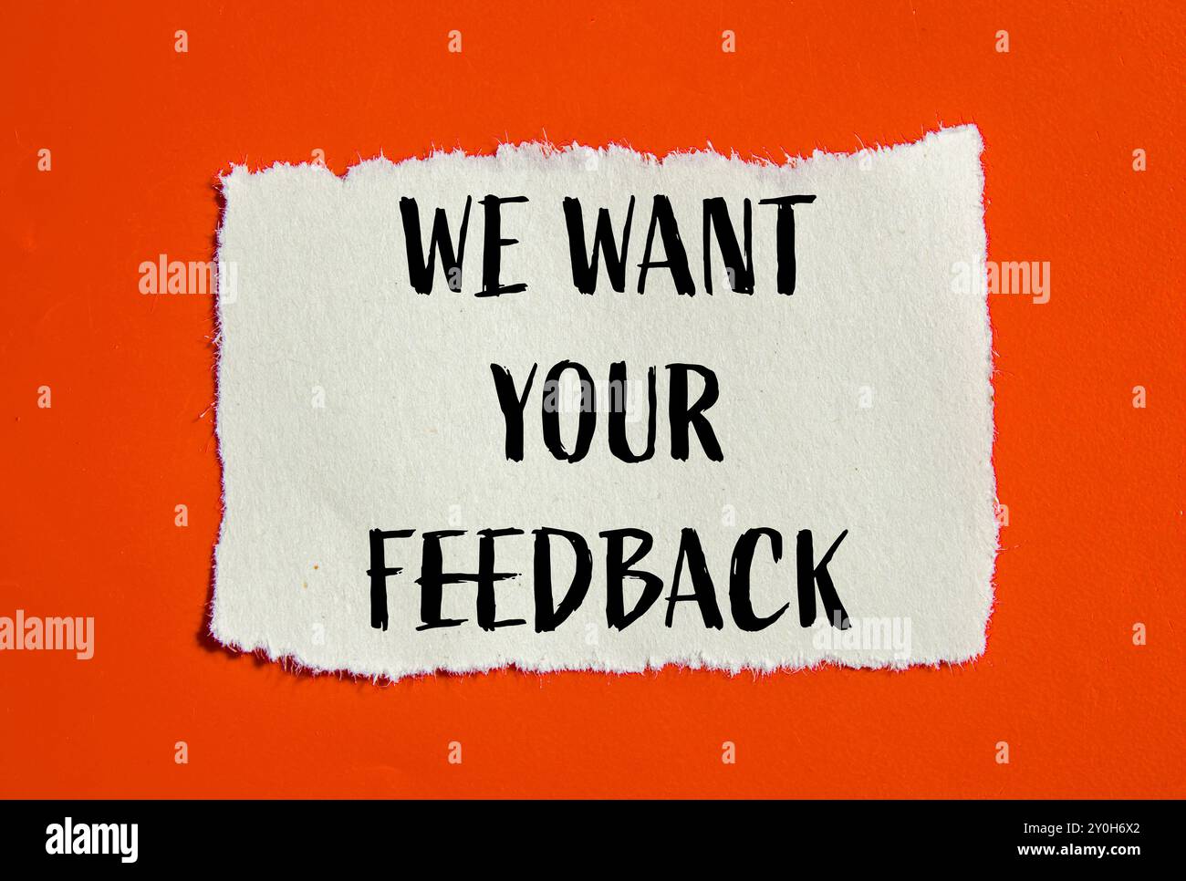 We want your feedback message written on ripped torn paper piece with ...