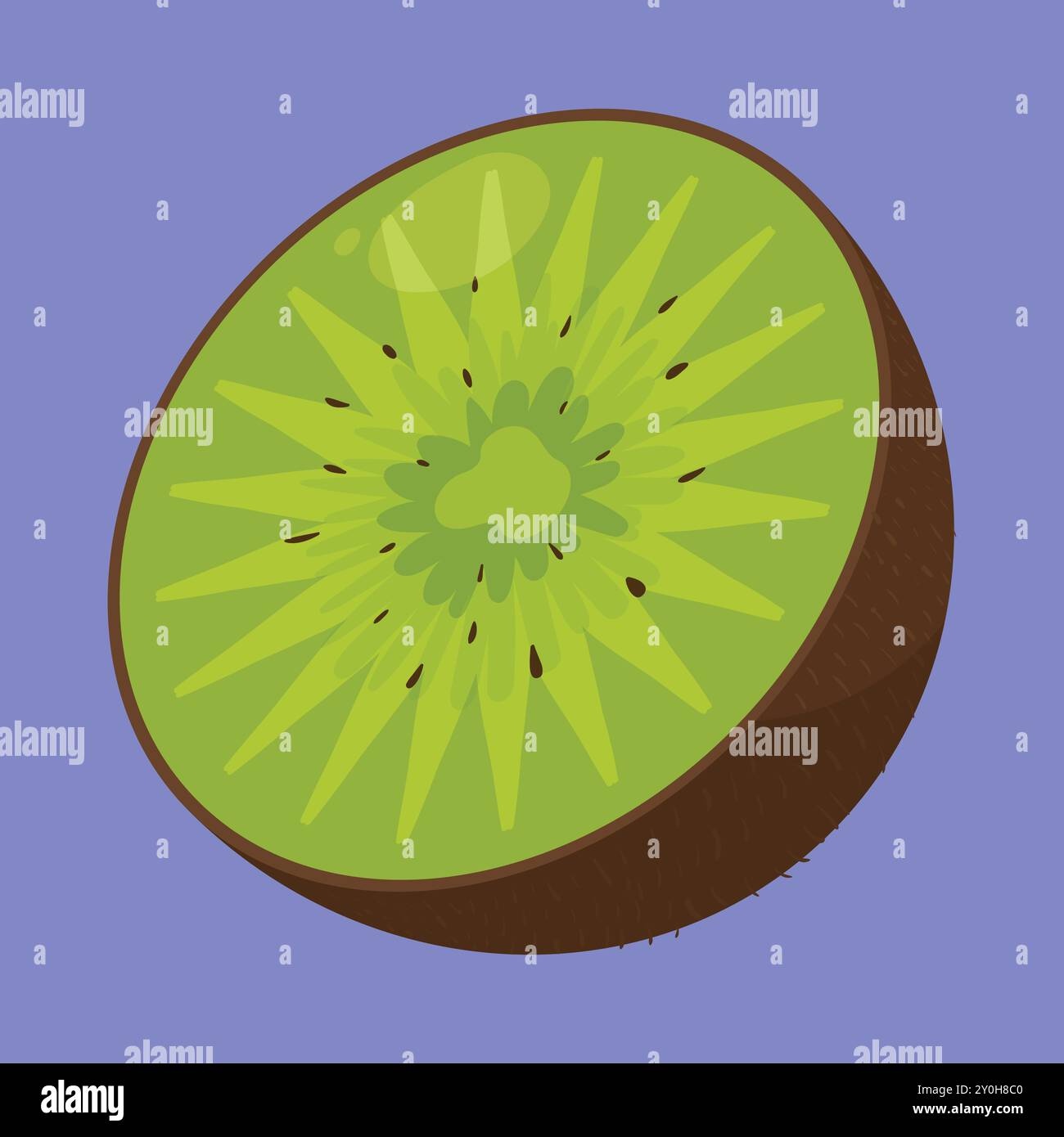 Kiwi fruit vector. half kiwi fruit icon. half kiwi fruit slice vector ...