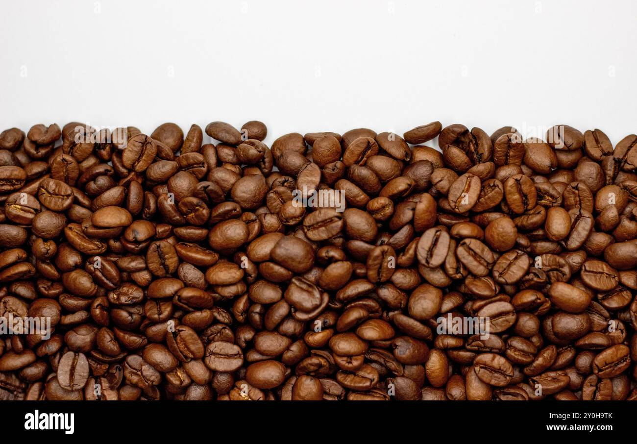 half screen roasted coffee beans on isolated on white background Stock ...
