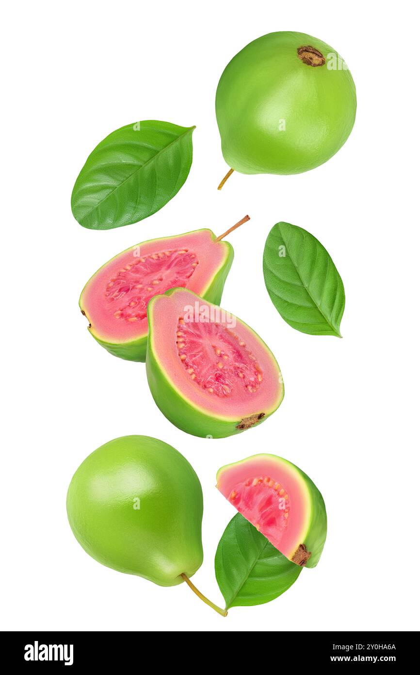 Guava fruit slices isolated on white background with full depth of ...