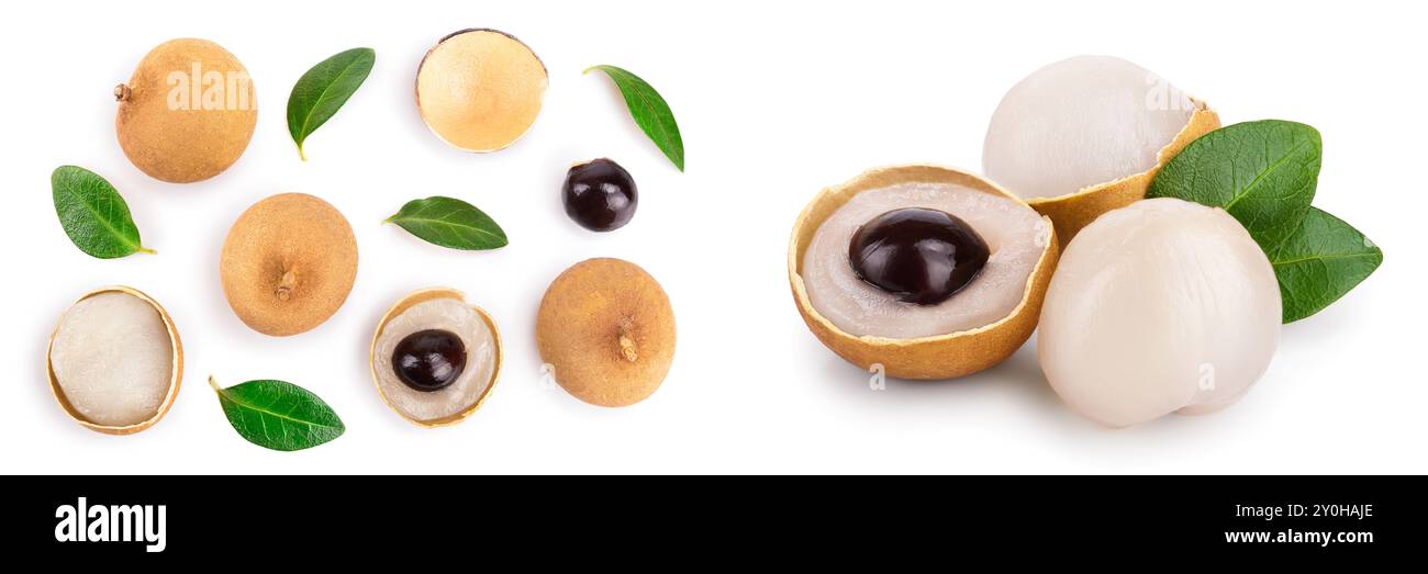 Fresh longan fruit with leaves isolated on white background. Top view ...