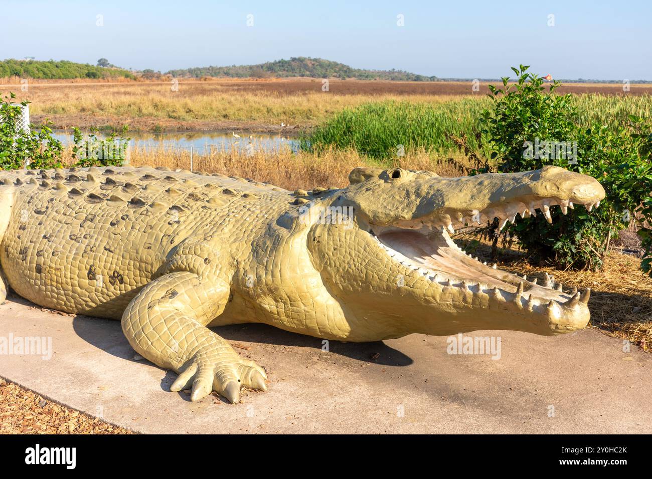 Crocodile statue at Spectacular Jumping Crocodile Cruise, Beatrice Hill, Arnhem Highway, Middle ...