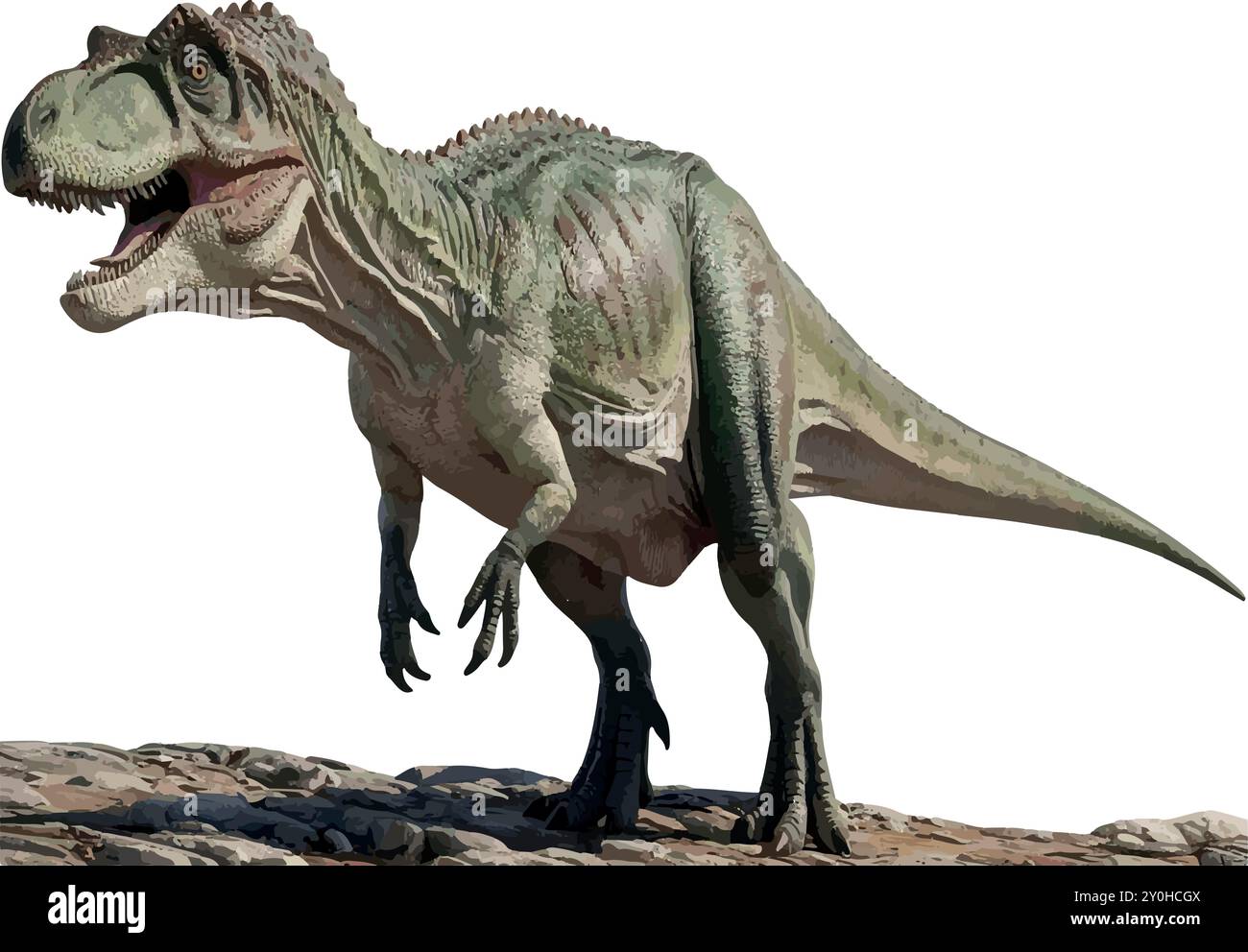 Giganotosaurus- Fossil Finds and What They Tell Us Stock Vector Image ...