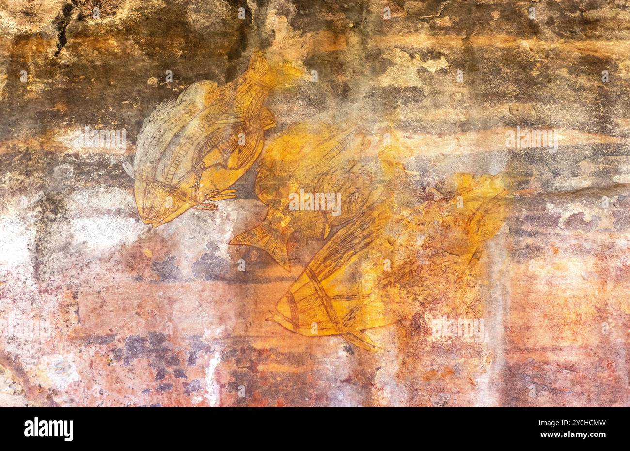 Ancient fish drawings at Ubirr Aboriginal rock art site, Kakadu National Park, Kakadu Highway ...