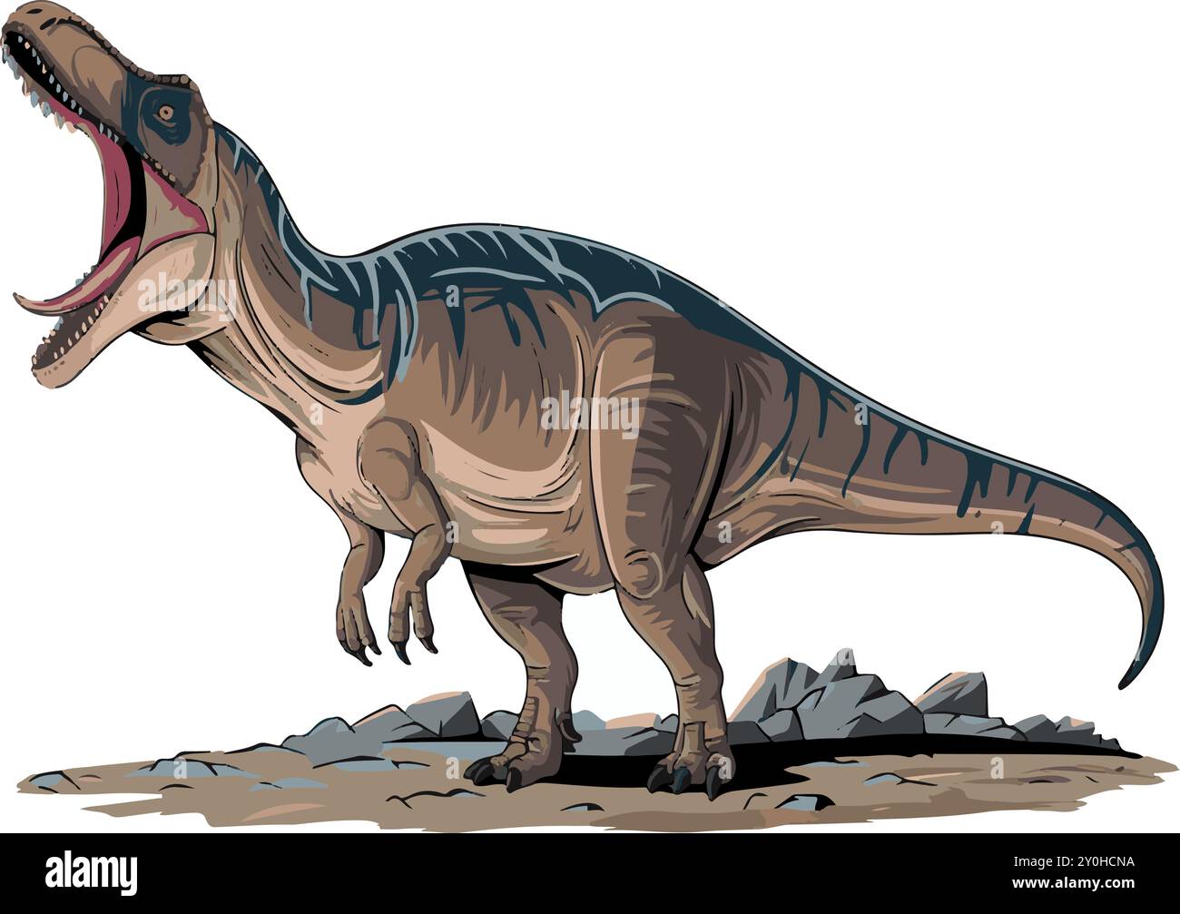 Giganotosaurus- One of the Largest Meat-Eating Dinosaurs Stock Vector ...