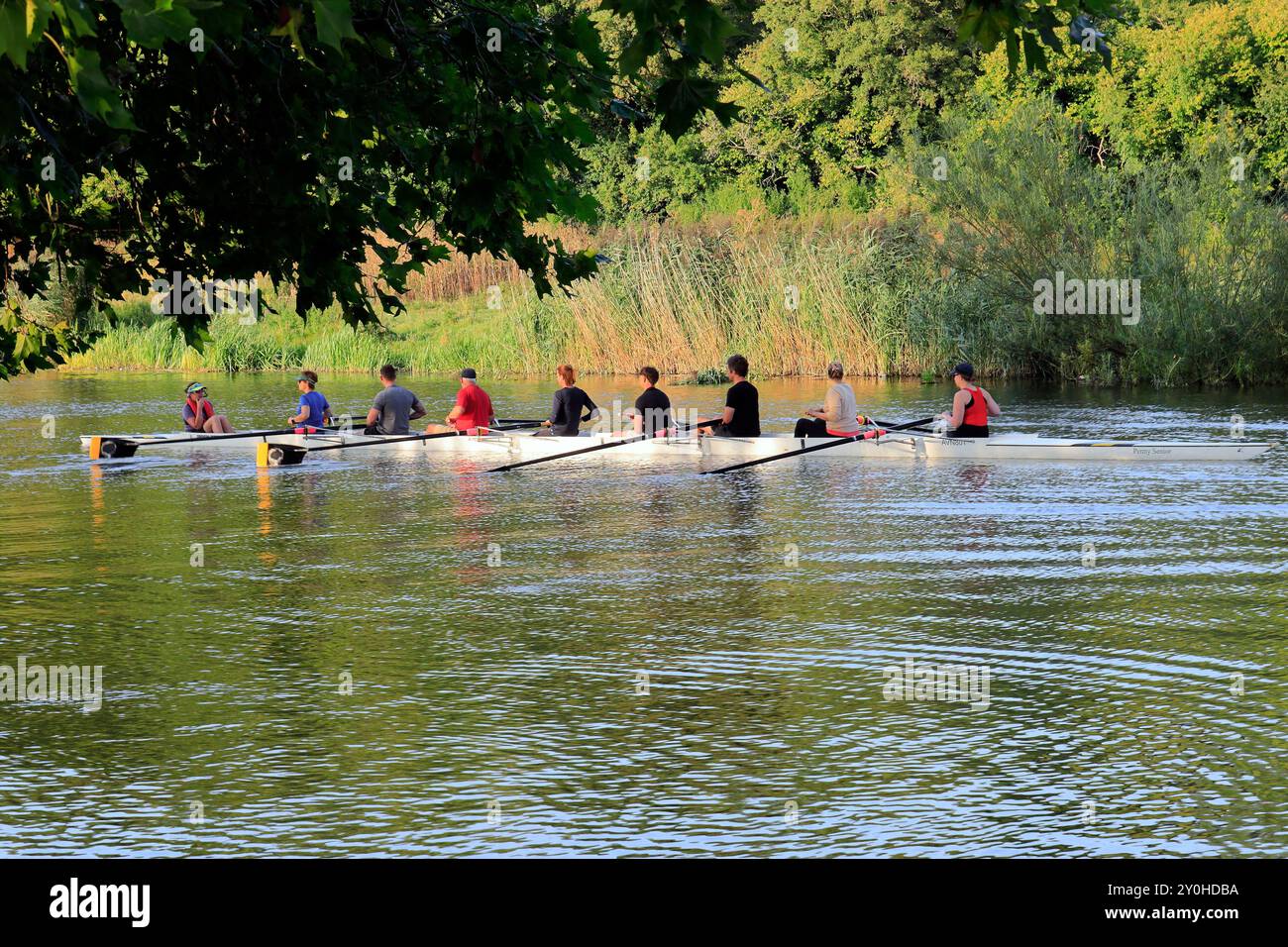 Coxed eight shell scull (eight-man crew with single oars) cox. River ...