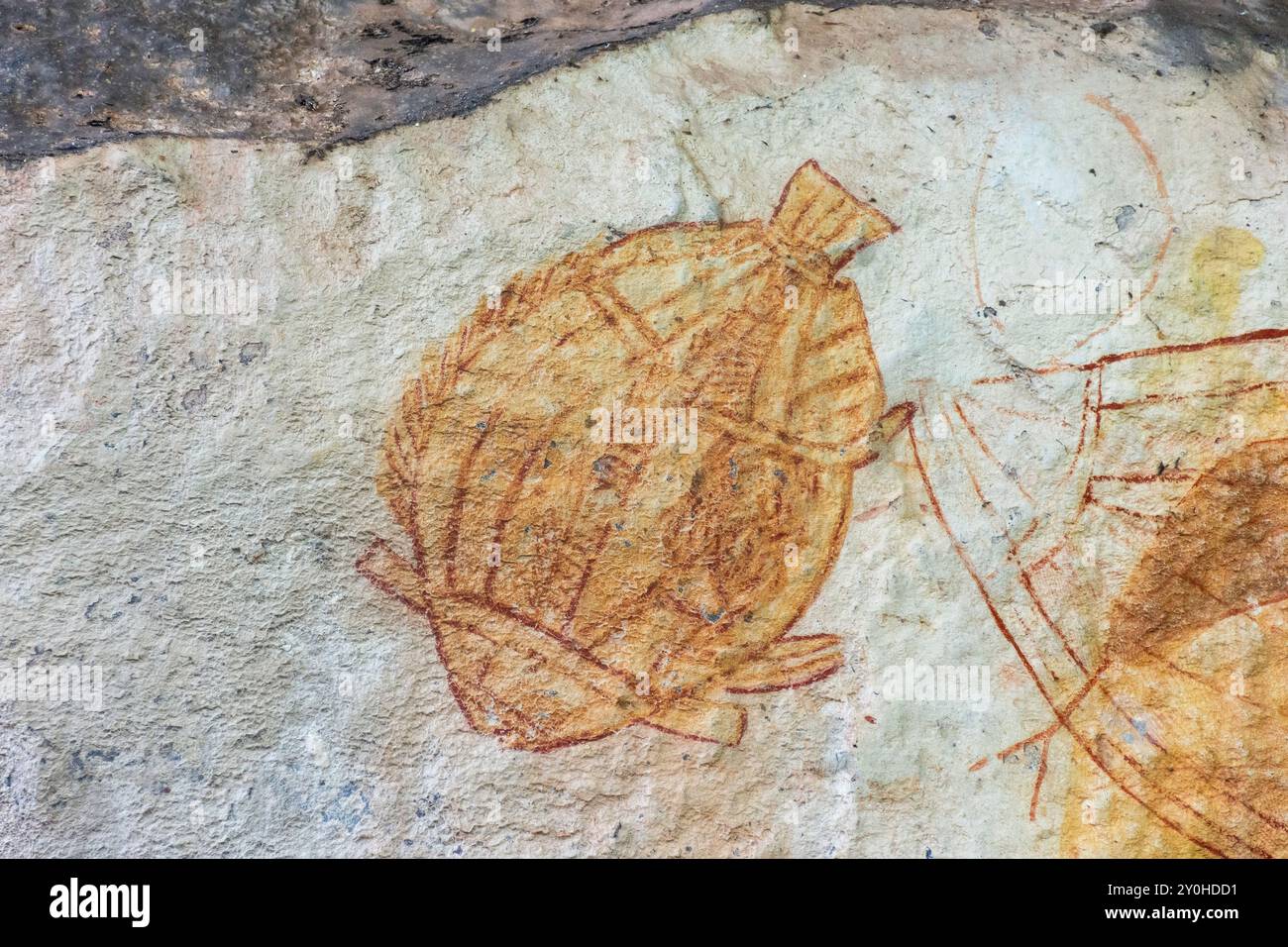 Ancient fish drawing at Ubirr Aboriginal rock art site, Kakadu National Park, Kakadu Highway ...