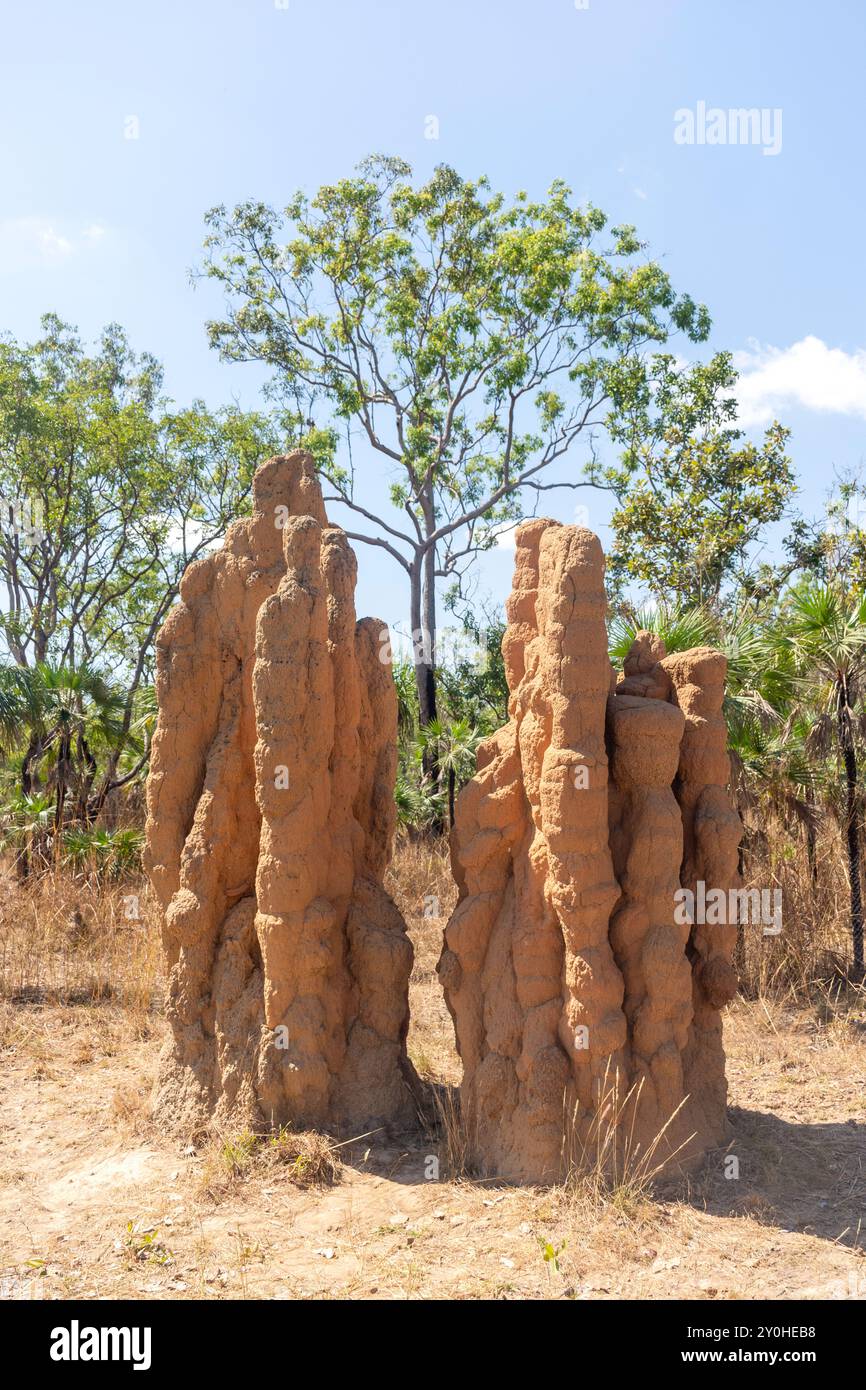 Cathedral termites and their mounds hi-res stock photography and images ...