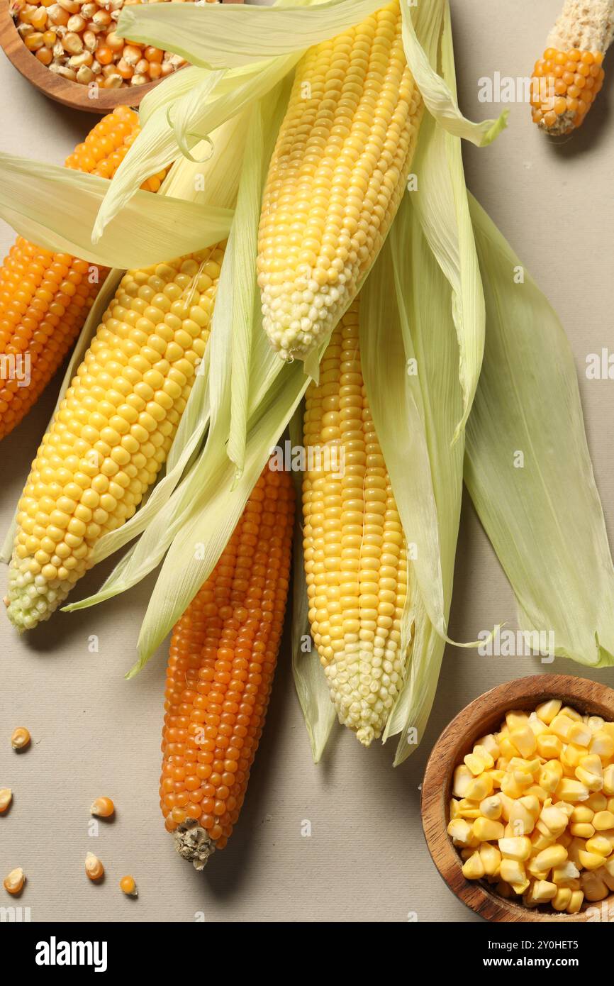 Many corncobs with green husks and kernels on beige background, flat ...