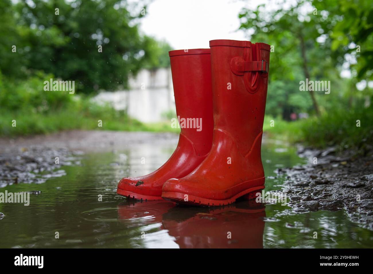 Red rubber boots in puddle at rainy day, closeup Stock Photo - Alamy