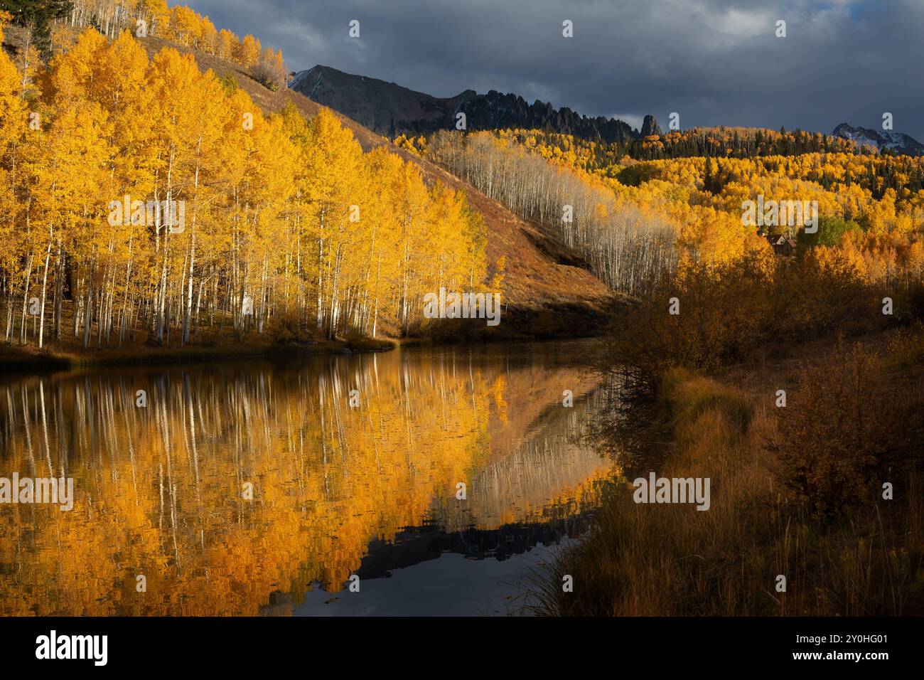Fall colors in Colorado. Autumn Aspen trees in the San Juan Mountains ...