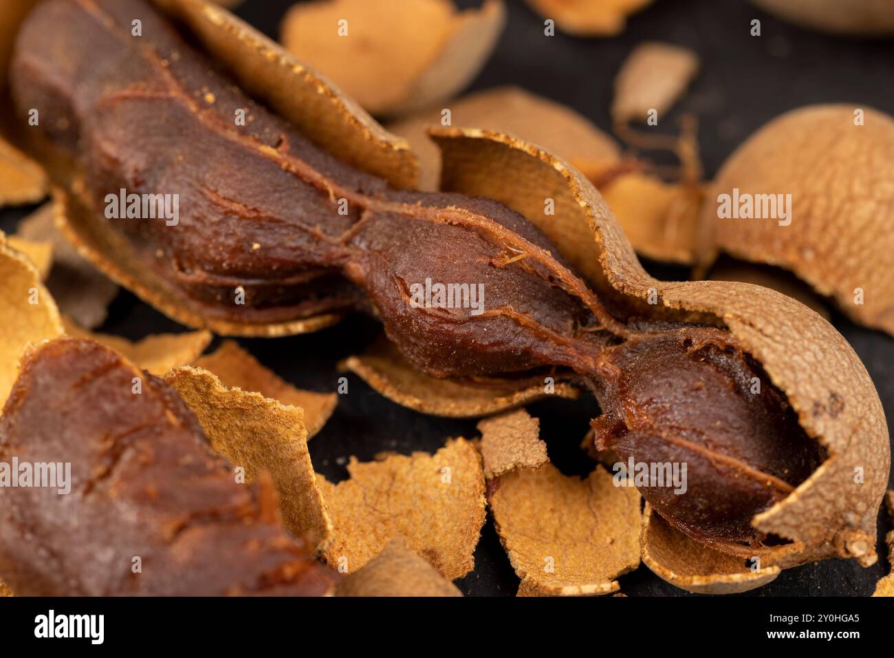 open ripe tamarind pods with edible pulp, ready-to-eat whole tamarind ...
