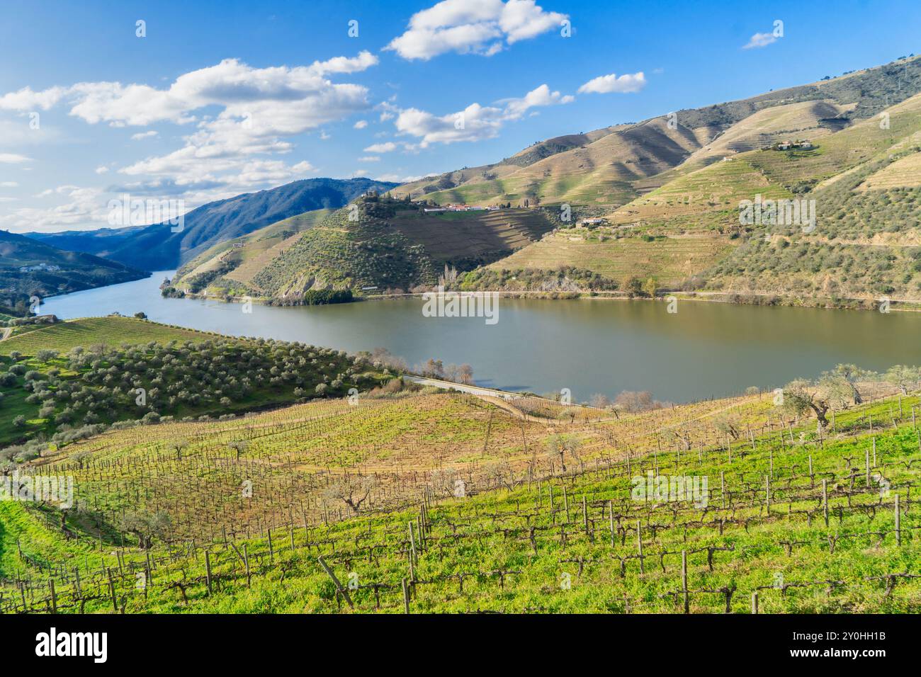Douro wine valley Stock Photo - Alamy