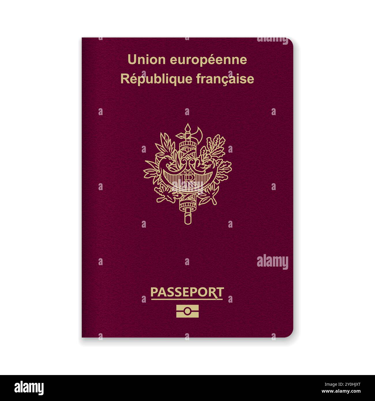 Close-up of a France passport cover featuring gold text and emblem on ...