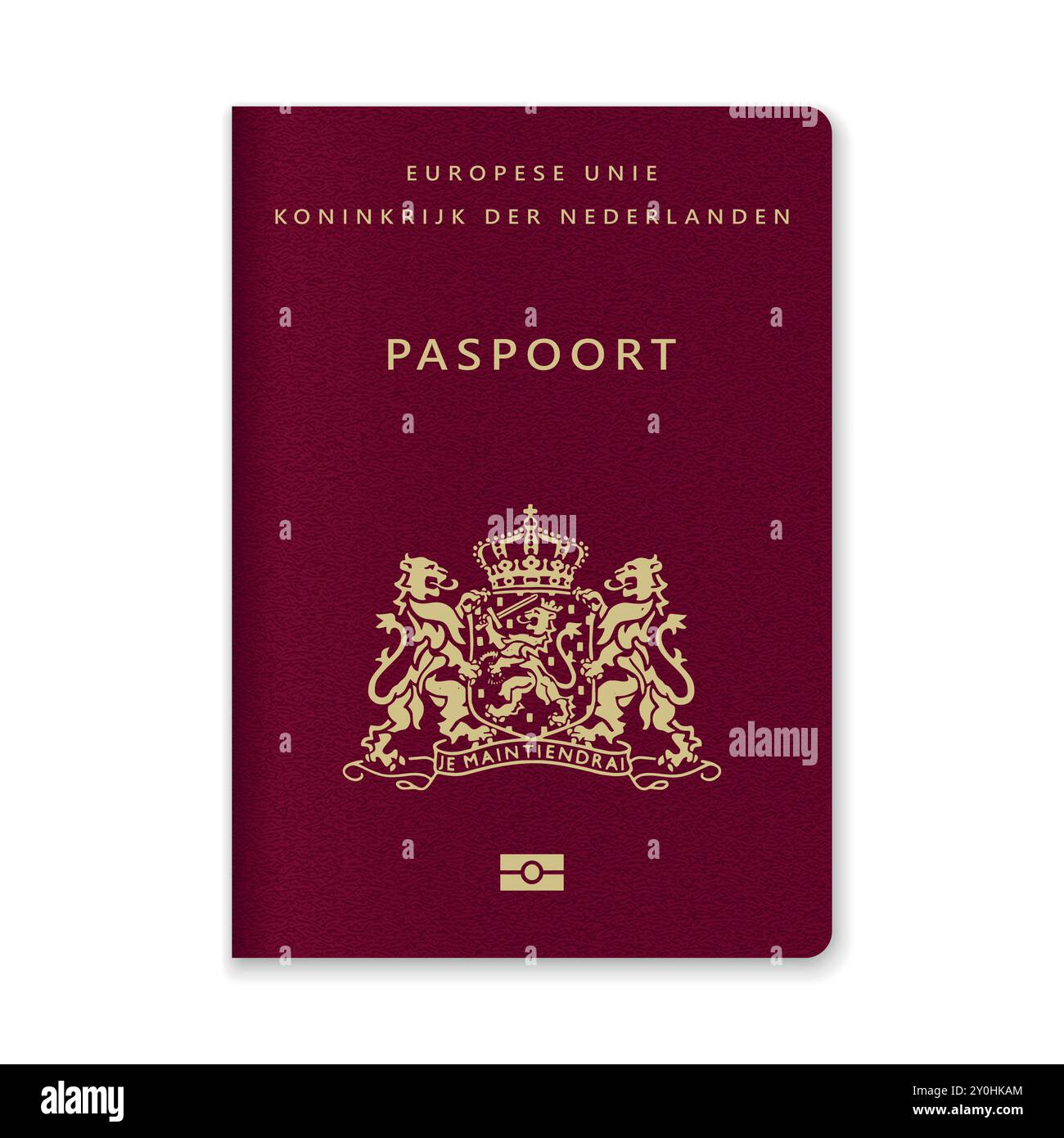 Close-up of a Netherlands passport cover featuring gold text and emblem ...