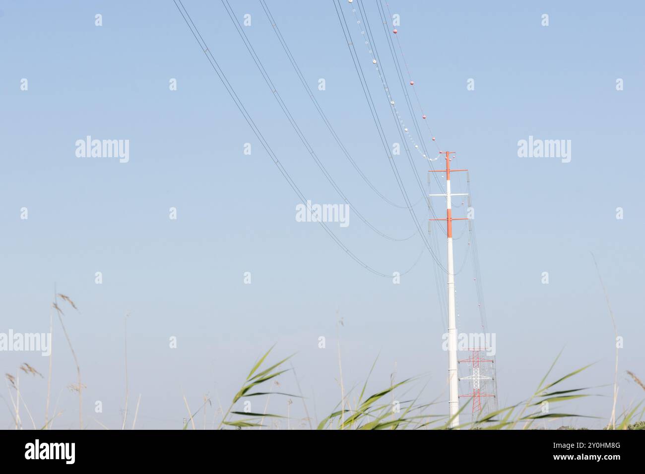 High voltage power lines transporting electricity through the ...