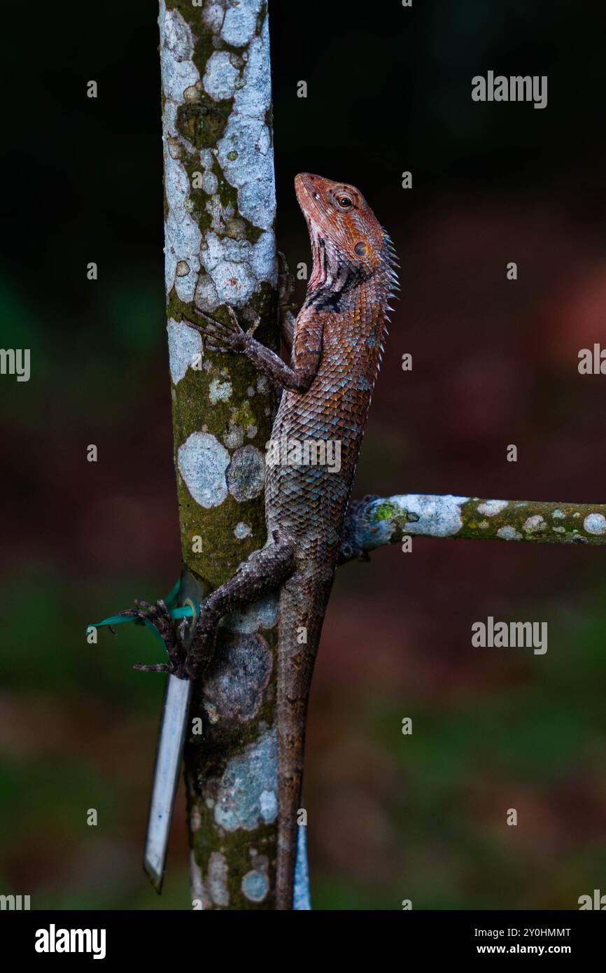 Minding nature hi-res stock photography and images - Alamy