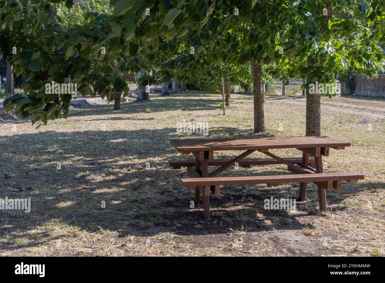 Picnic table in park beneath hi-res stock photography and images - Alamy