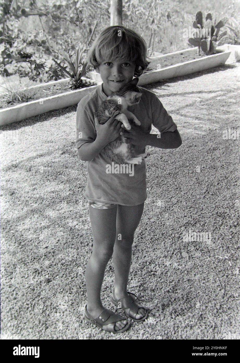 Boy with a cat Sierra Leone 1971 Stock Photo - Alamy