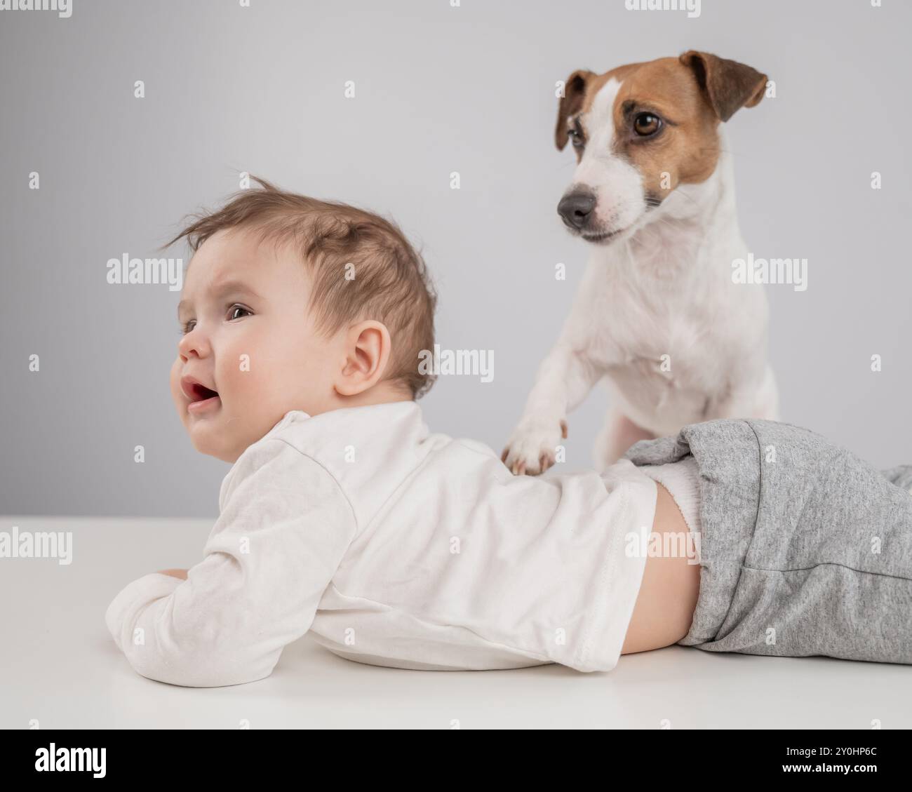 Cute baby boy and Jack Russell terrier dog lying in an embrace on a ...