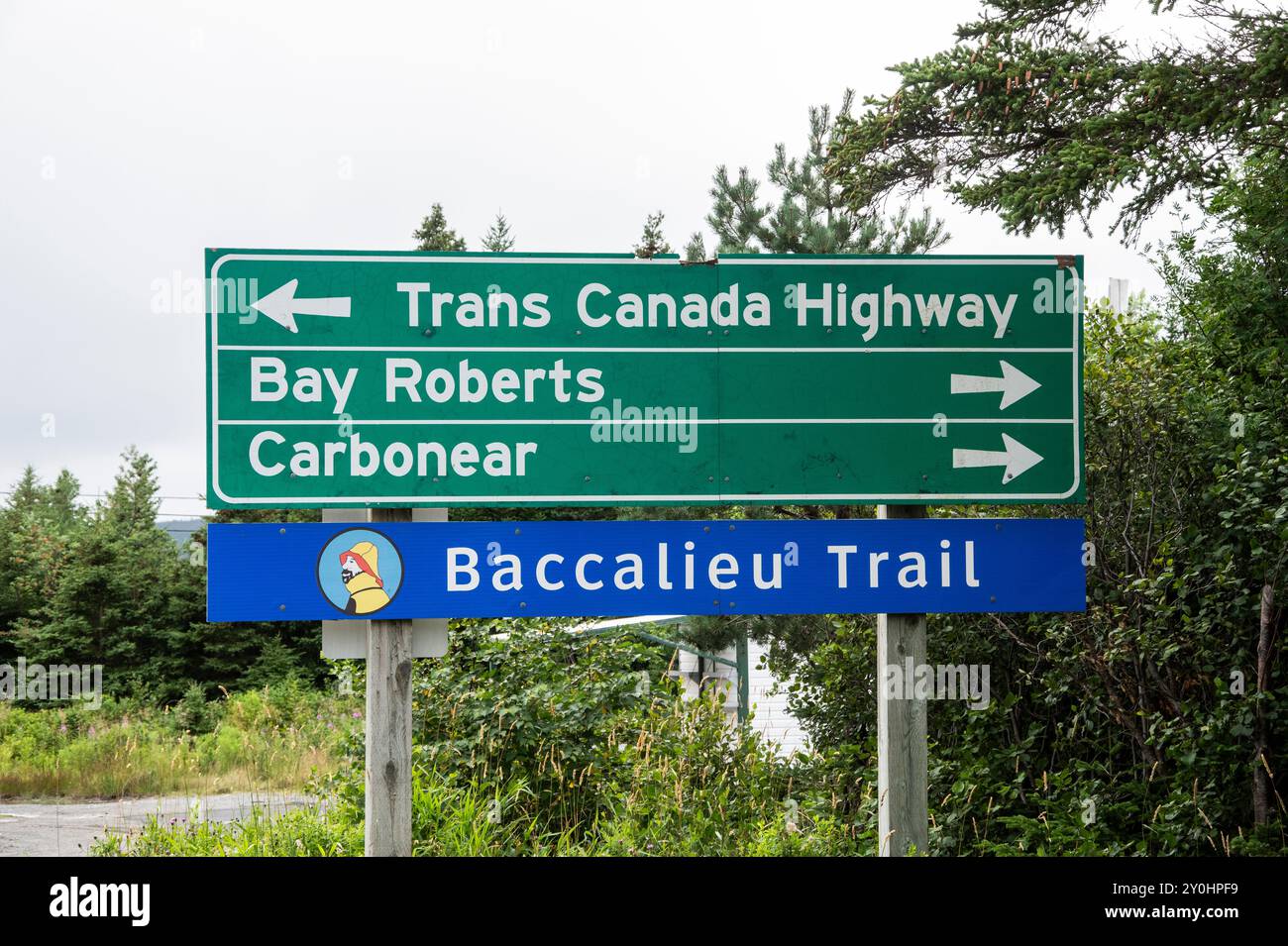 Directional highway and Baccalieu Trail sign in South River ...