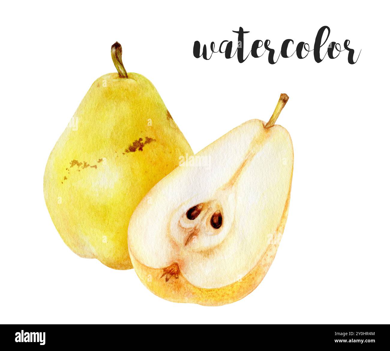 Beautiful Watercolor Illustrations of Fresh and Juicy Pears A visual ...