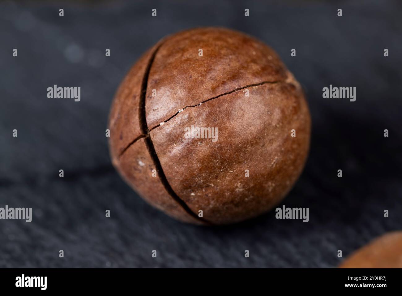 Unpeeled macadamia nuts on the table, crispy dried macadamia nuts ...