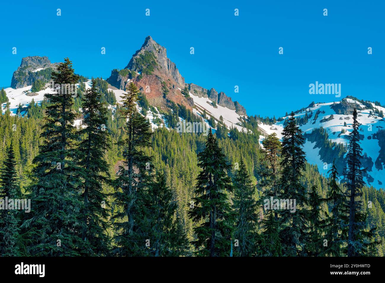 Paradise area at Mount Rainier National Park, Washington State, United ...