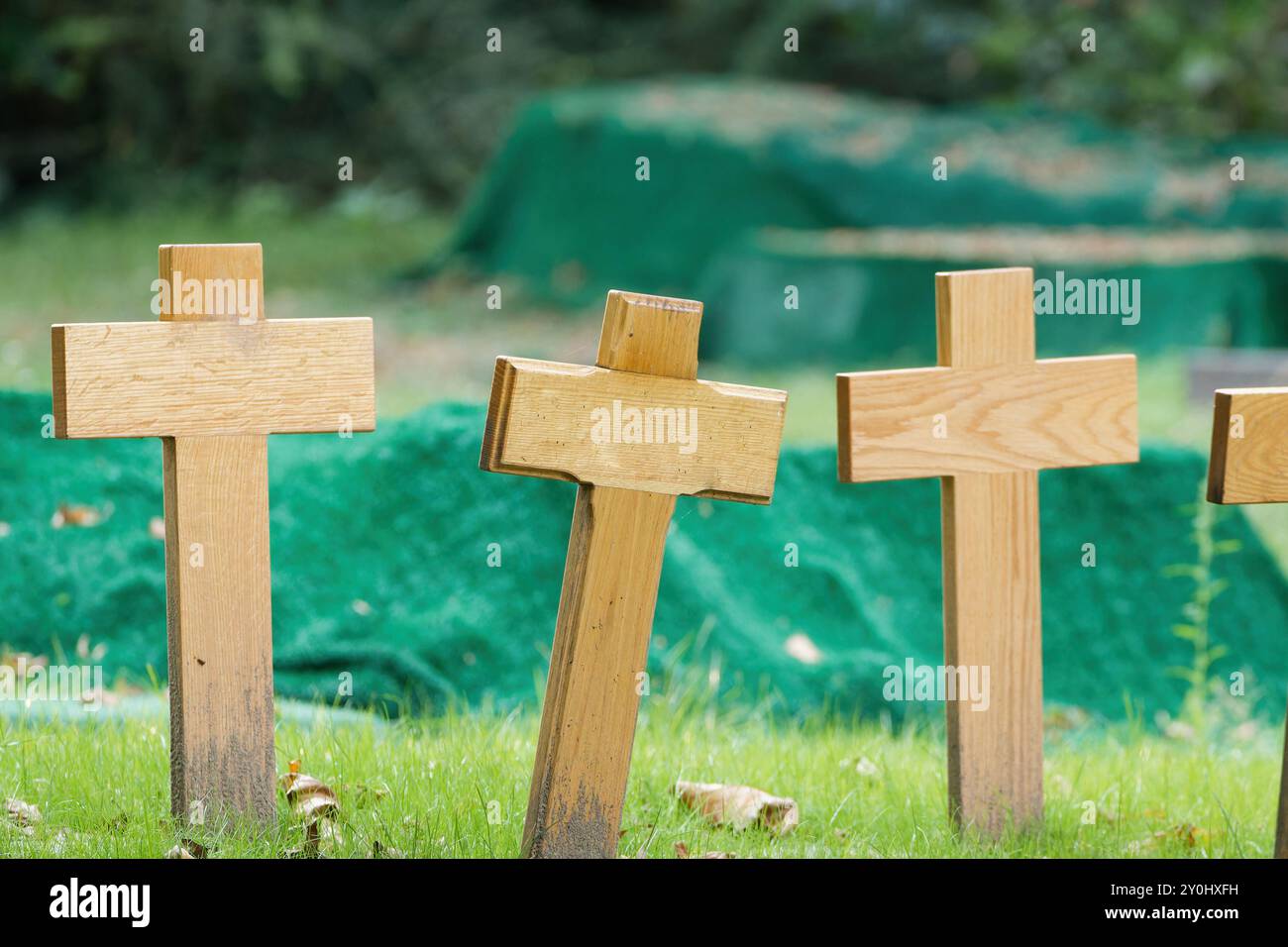 Meadow graves wooden crosses hi-res stock photography and images - Alamy