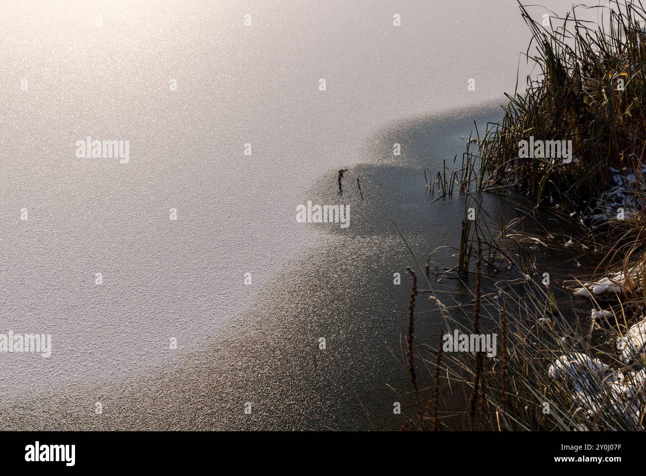 The surface of the lake covered with ice and snow with reeds, the water ...