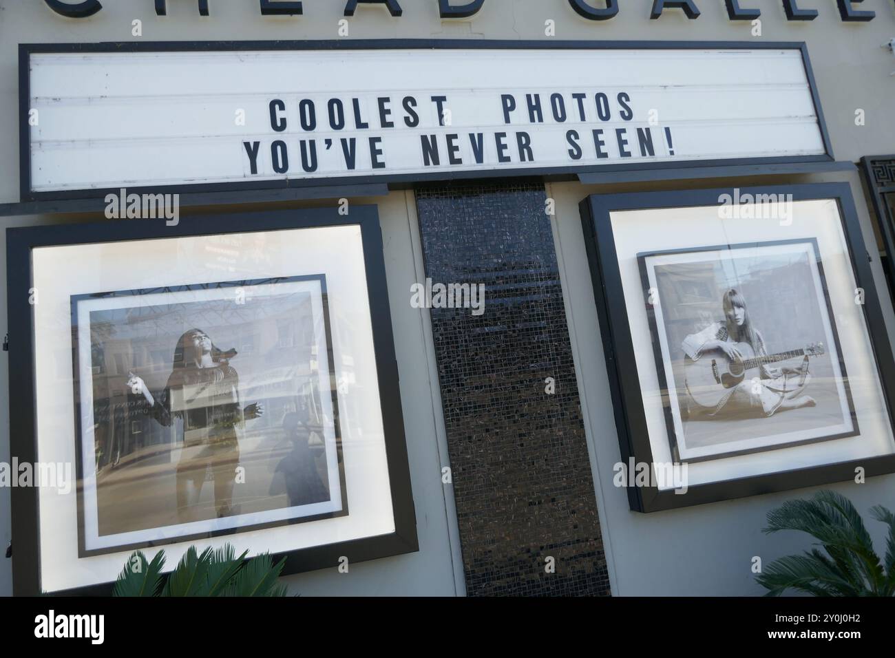 Los Angeles, California, USA 31st August 2024 Tina Turner and Joni ...