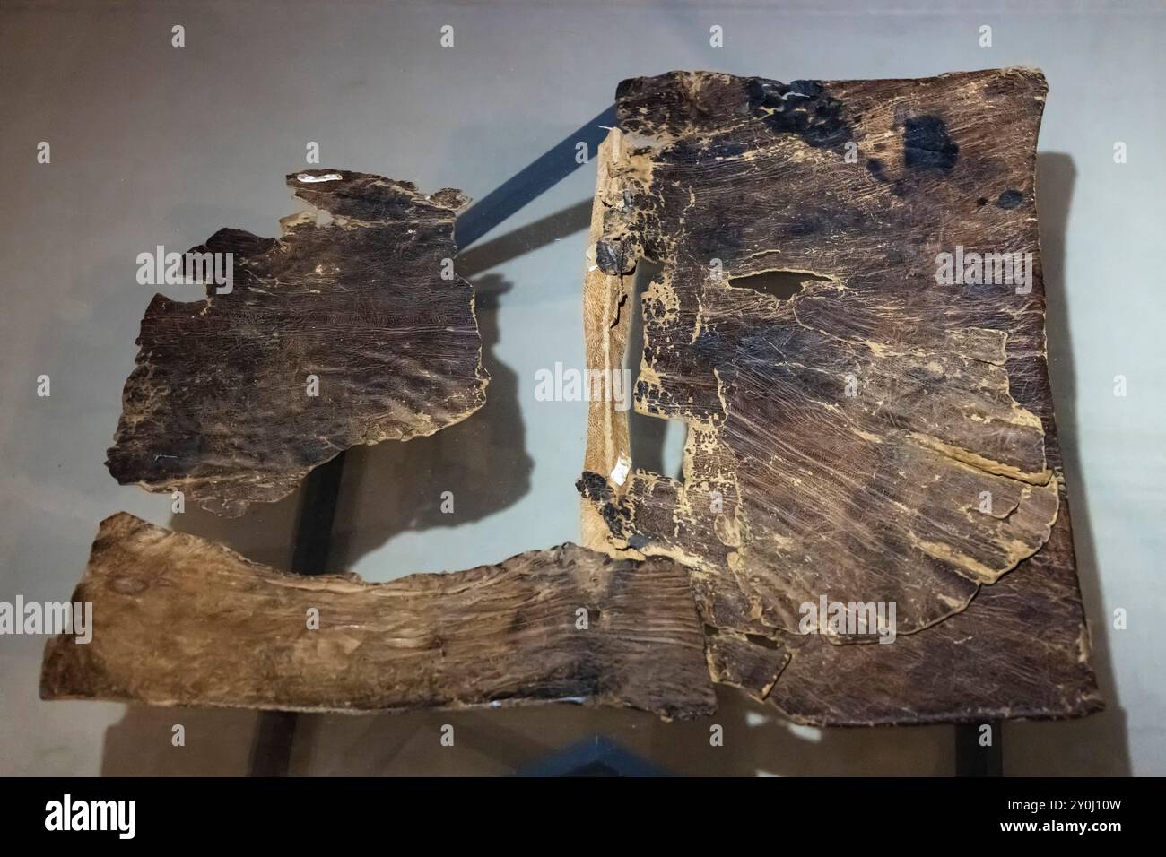 Coptic Museum, leather binding of Nag Hammadi codex, ancient Egyptian ...