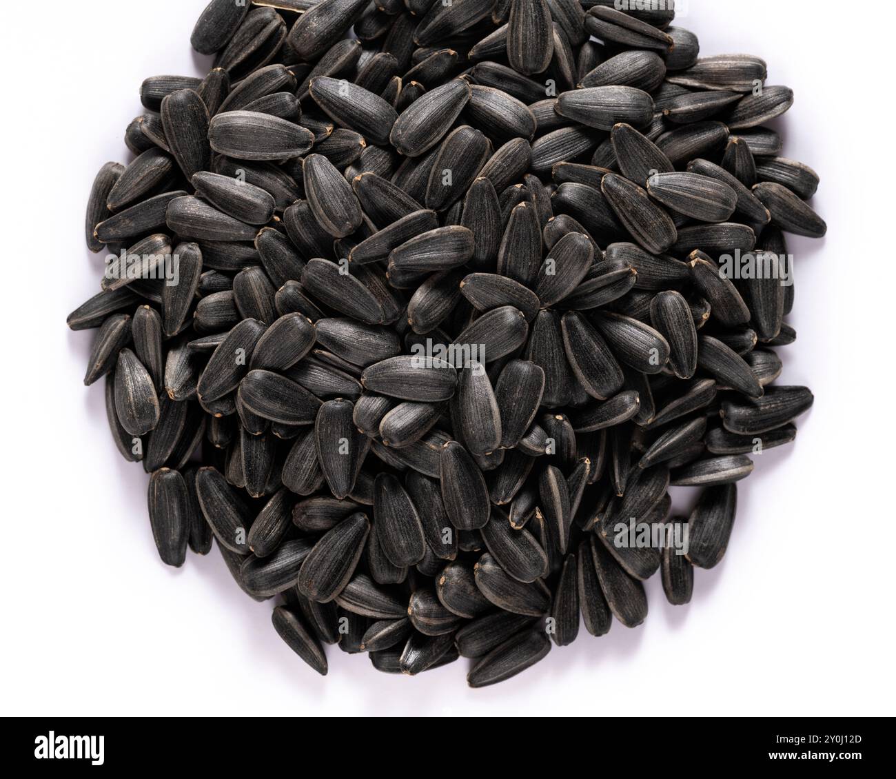 A close-up view of a pile of black sunflower seeds, showcasing their ...